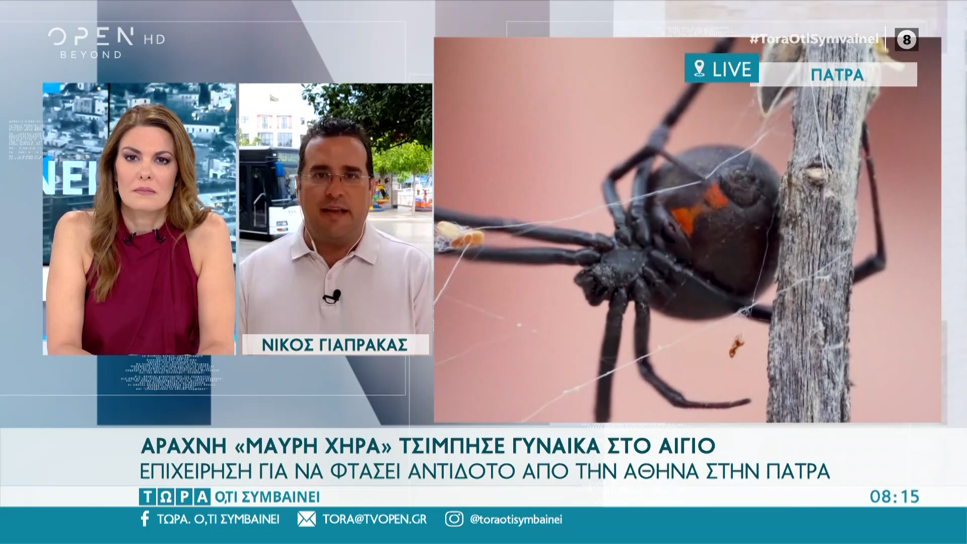 Αράχνη «Μαύρη χήρα» τσίμπησε άνθρωπο στο Αίγιο | OPEN TV